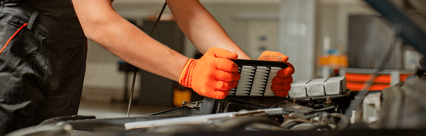 Repuestos de carro que debes cambiar una vez al año