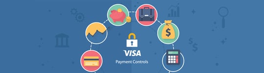 Visa Payment Control