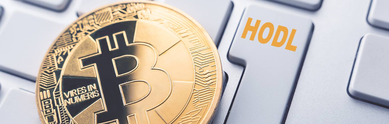 Conoce qué es HODL y sus puntos básicos