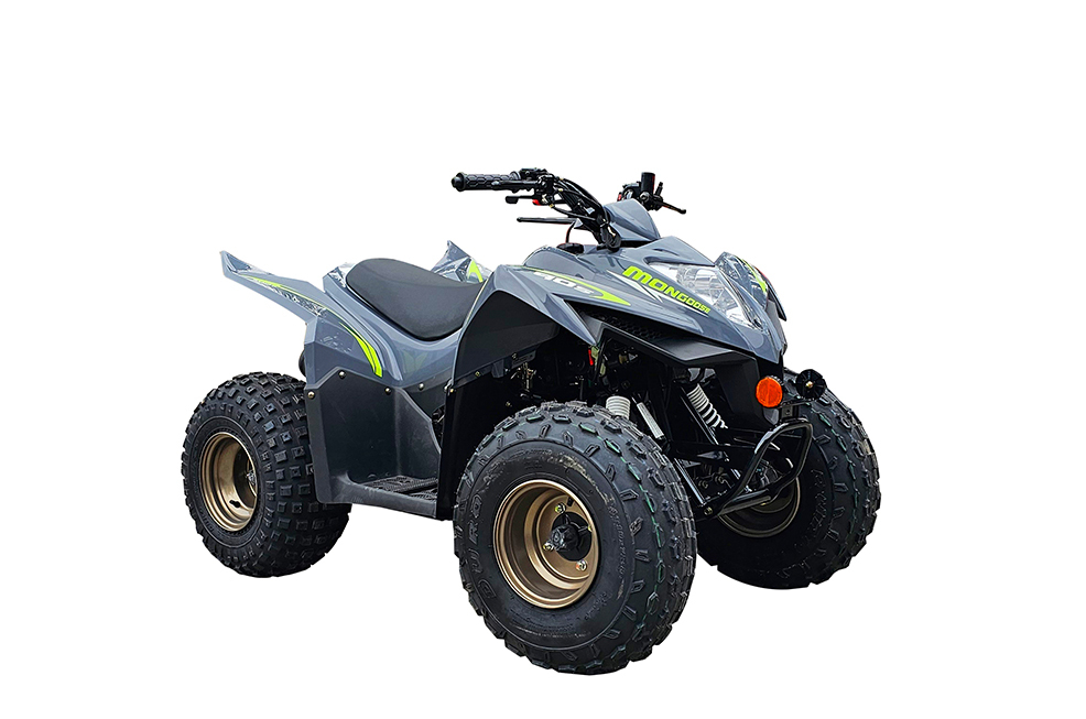 MONGOOSE 90S